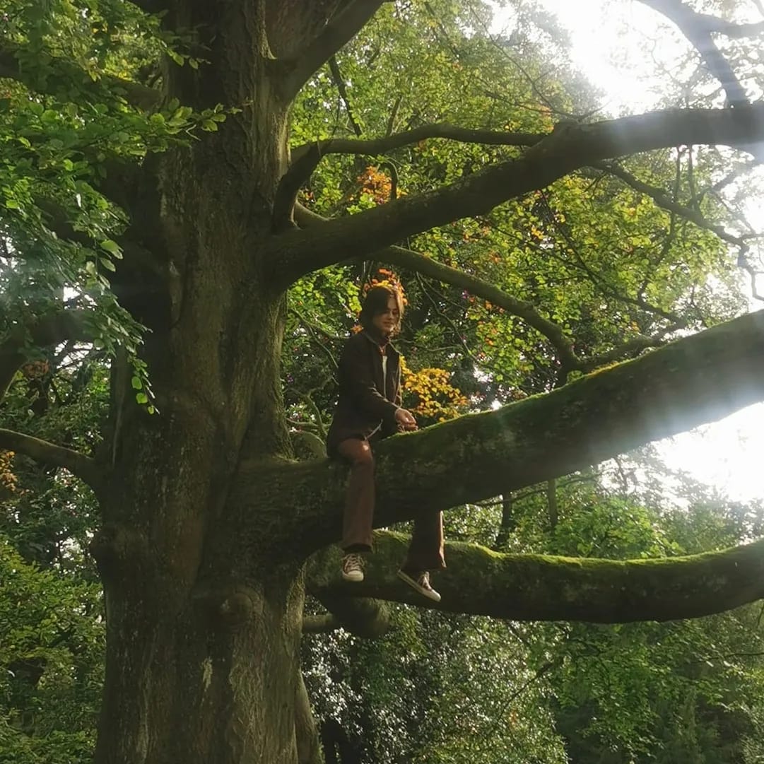 I’m Ava, here is a little about me… – butterflybakeryblog